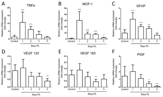 Neovascular Progression and Retinal Dysfunction in the Laser-Induced ...