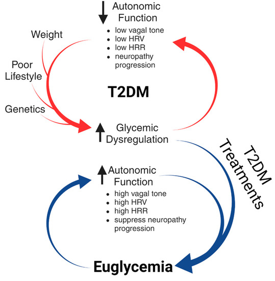 Combining Celiac and Hepatic Vagus Nerve Neuromodulation Reverses ...