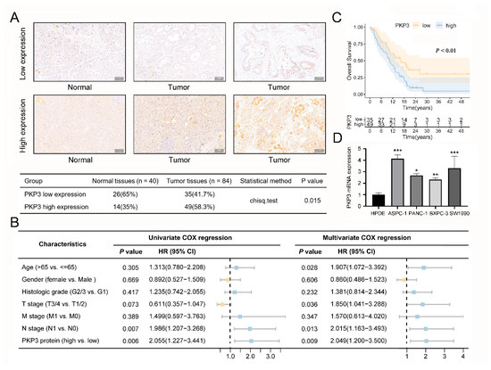 Comprehensive Analysis Identifies PKP3 Overexpression in Pancreatic ...