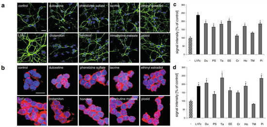 The Use of Small-Molecule Compounds for Cell Adhesion and Migration in ...