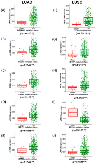An Analysis of JADE2 in Non-Small Cell Lung Cancer (NSCLC)