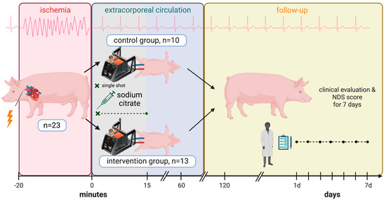 Effects of Prolonged Serum Calcium Suppression during Extracorporeal ...