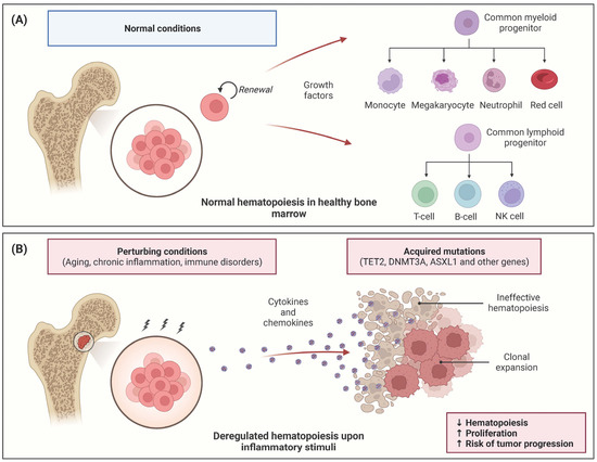 Emerging Insights into Molecular Mechanisms of Inflammation in Myelodysplastic Syndromes