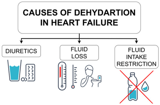 The Importance of Optimal Hydration in Patients with Heart Failure—Not ...