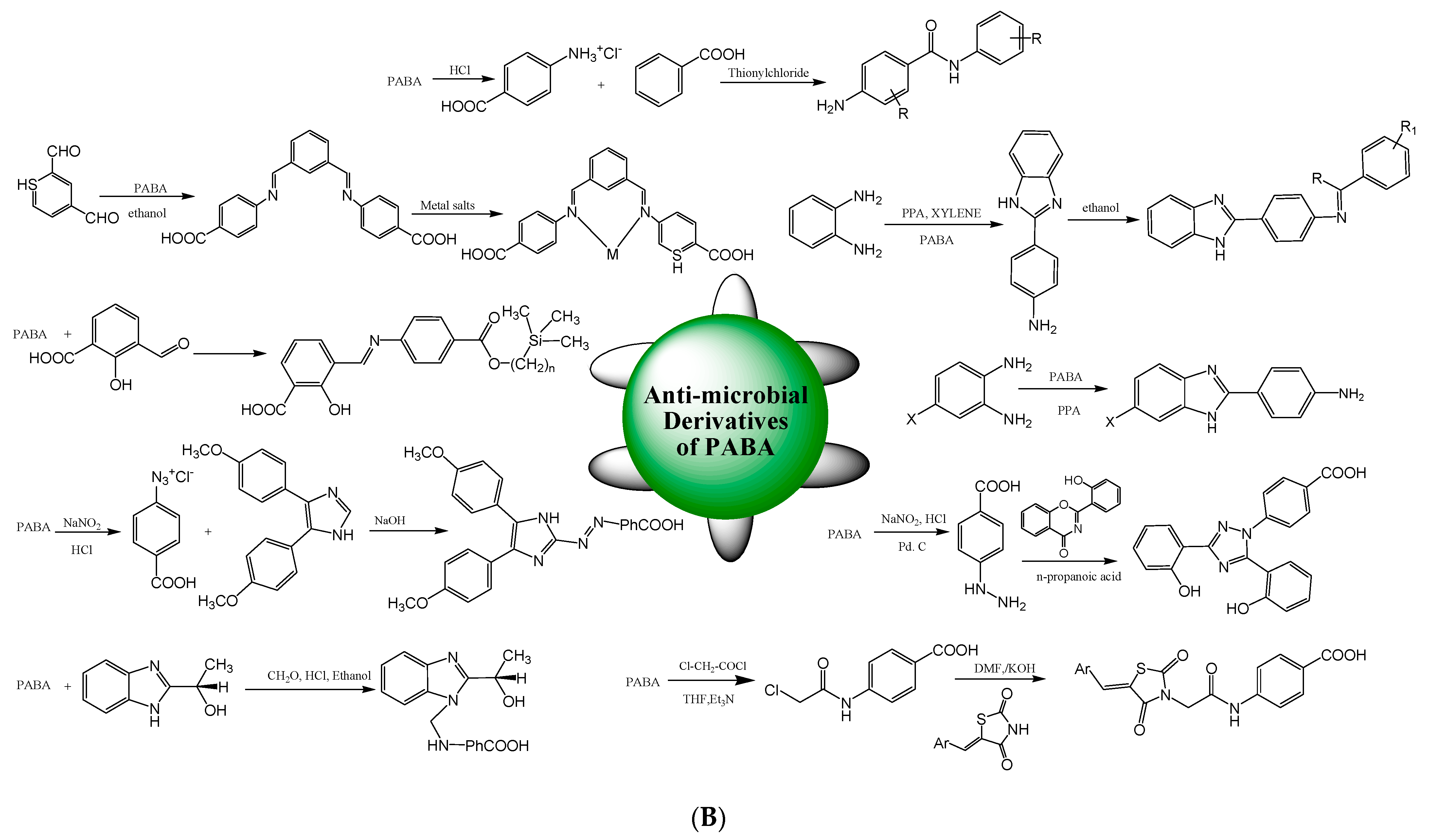 Biomedicines | Free Full-Text | Novel Para-Aminobenzoic Acid Analogs ...