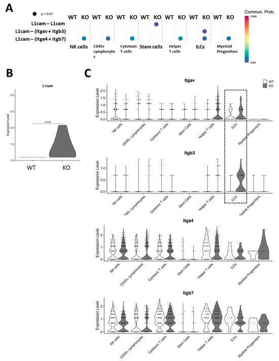 Single-Cell RNA Sequencing (scRNA-seq) Identifies L1CAM as a Key ...