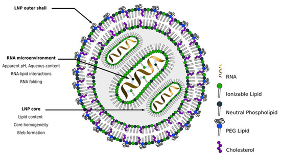 Biomedicines | Free Full-Text | Quality by Design (QbD) and Design of Experiments (DOE) as a ...