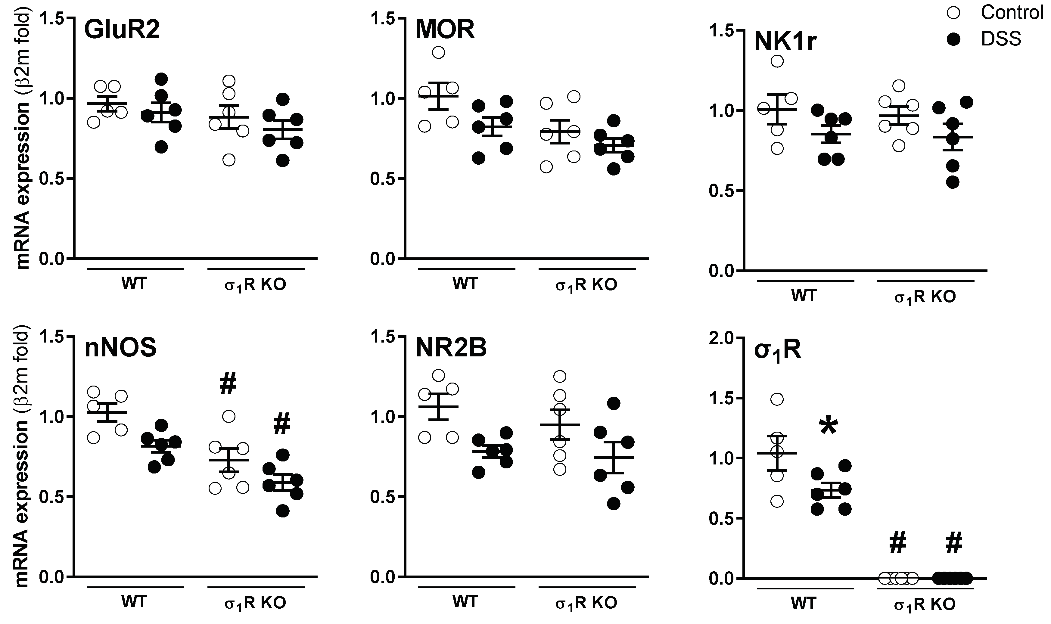 Biomedicines | Free Full-Text | Genetic and Pharmacological Blockade of ...