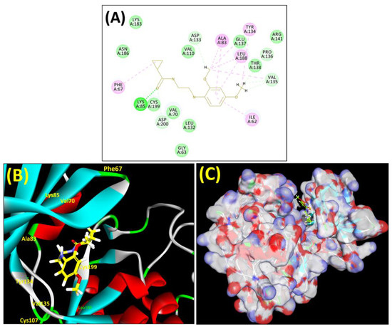In Silico Approaches to Developing Novel Glycogen Synthase Kinase 3β (GSK-3β)