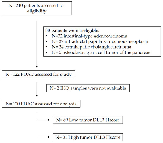 DLL3 Is a Prognostic and Potentially Predictive Biomarker for ...