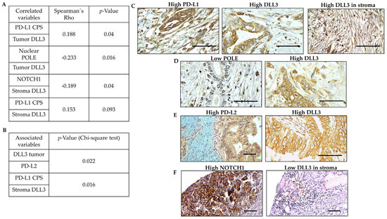 DLL3 Is a Prognostic and Potentially Predictive Biomarker for ...