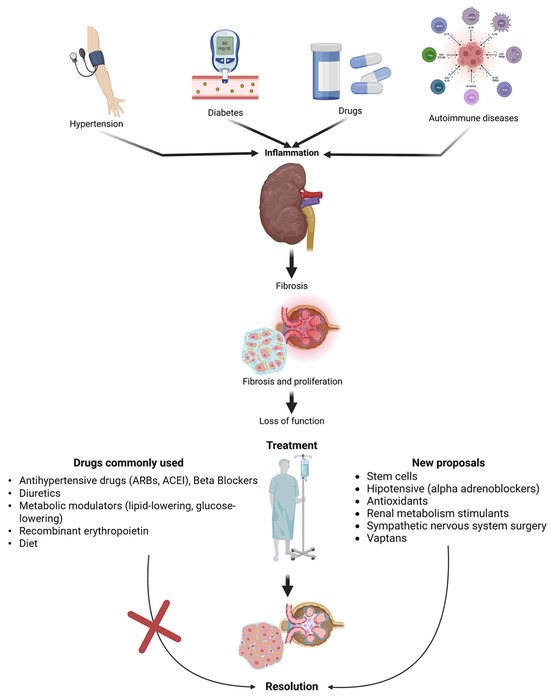 Novel Approaches in Chronic Renal Failure without Renal Replacement ...