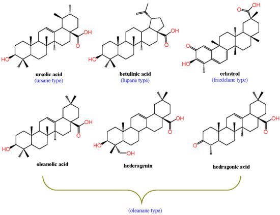 Overview of Ursolic Acid Potential for the Treatment of Metabolic ...