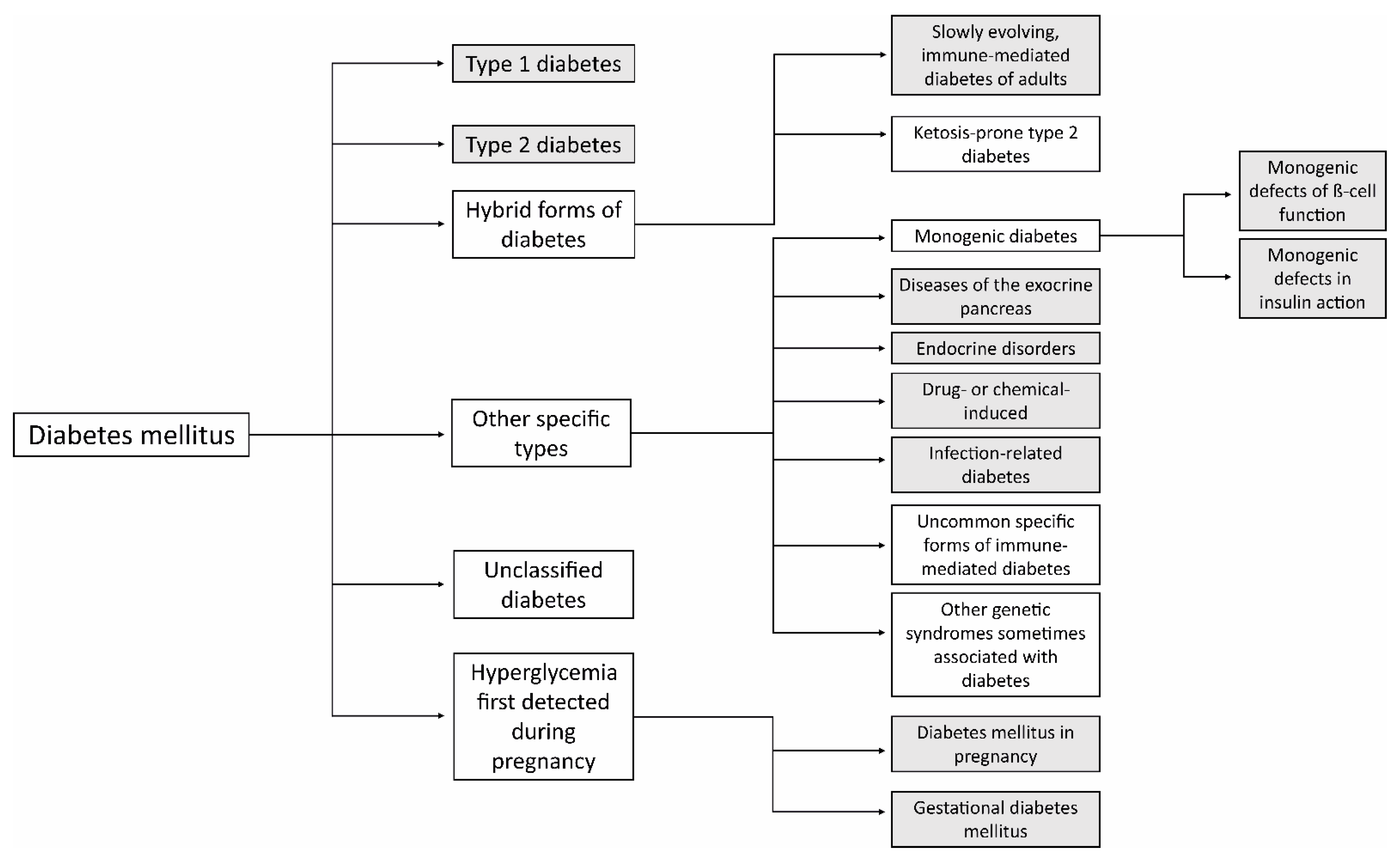 Biomedicines | Free Full-Text | Animal Models in Diabetic Research ...