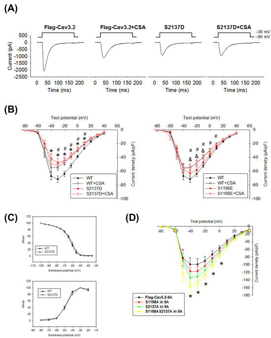 Identification of Novel Targeting Sites of Calcineurin and CaMKII in ...