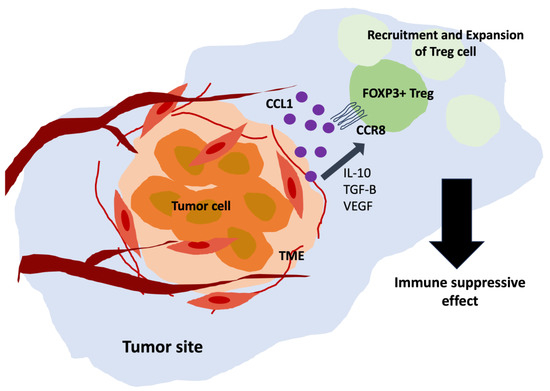 Biomedicines | Free Full-Text | CCR8 as a Therapeutic Novel Target: Omics-Integrated ...