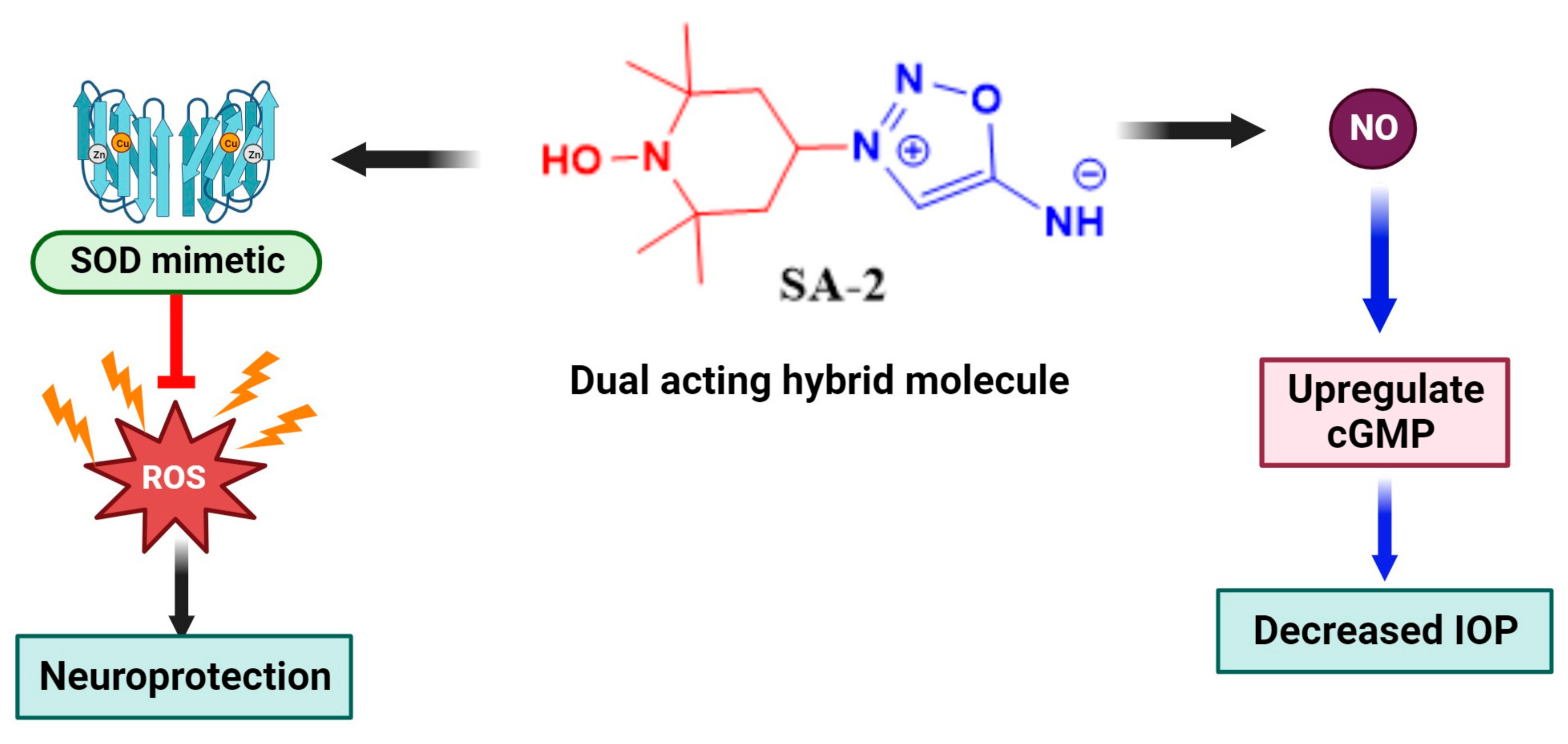 Therapeutic Potential of Antioxidants and Hybrid TEMPOL Derivatives in ...