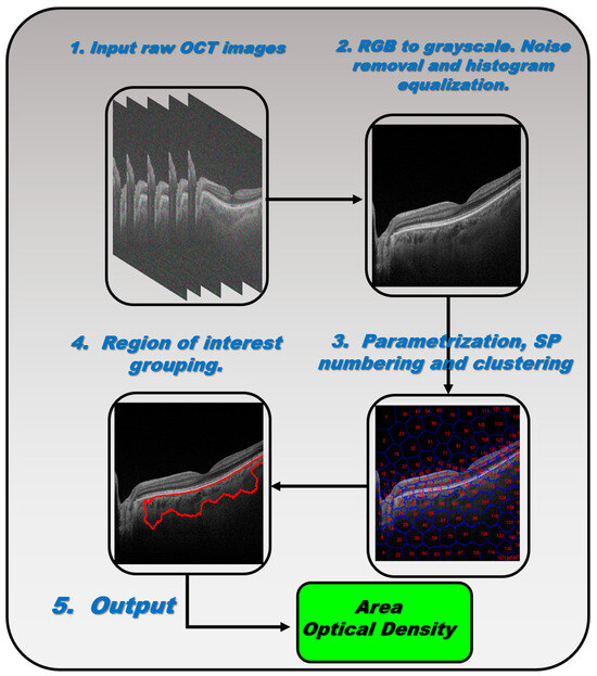 Detecting Structural Changes in the Choroidal Layer of the Eye in Neurodegenerative Disease ...