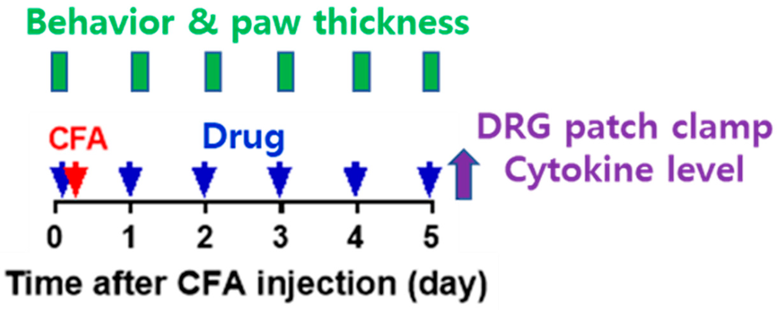 The Effect of Evogliptin Tartrate on Controlling Inflammatory Pain