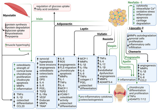 Biomedicines | Free Full-Text | Adipokines in Rheumatoid Arthritis: Emerging Biomarkers and ...