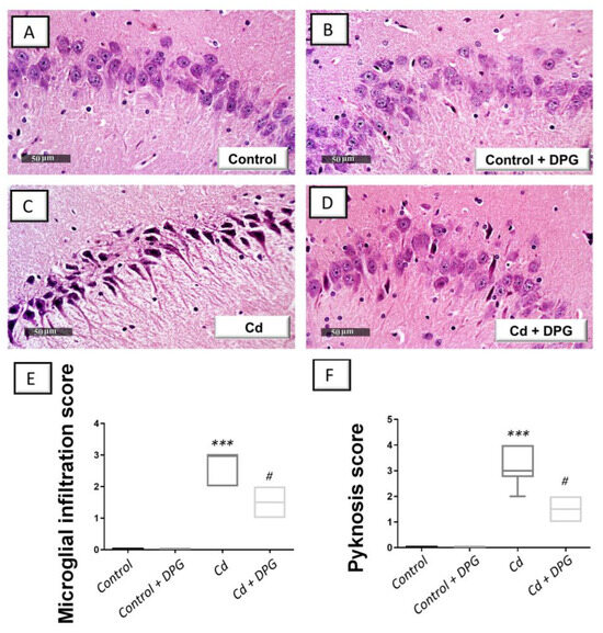 Targeting Autophagy, Apoptosis, and Oxidative Perturbations with ...