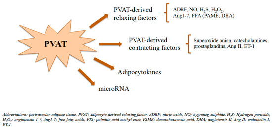 The Role of Perivascular Adipose Tissue in the Pathogenesis of ...