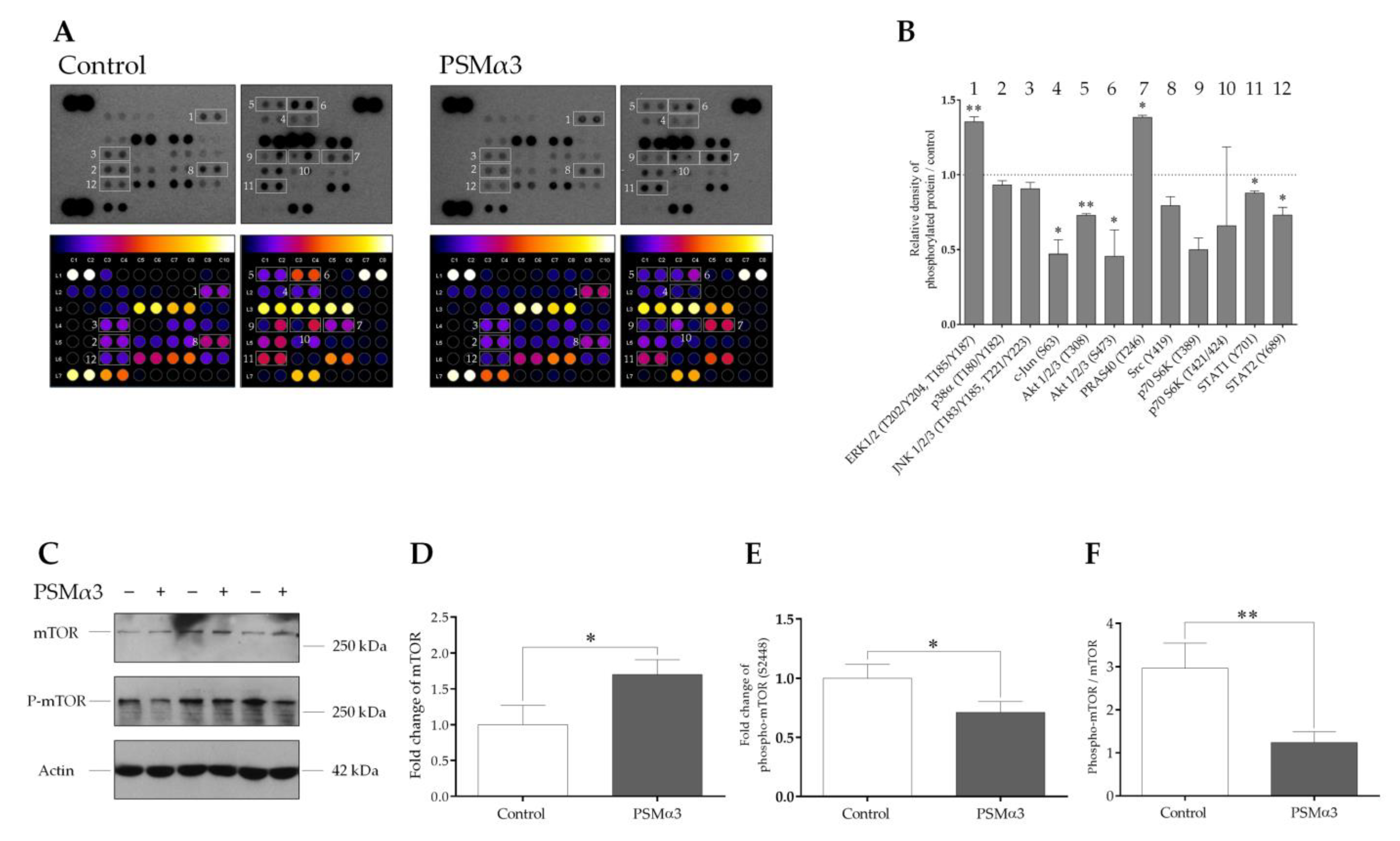 Biomedicines | Free Full-Text | Phenol-Soluble Modulin α3 Stimulates ...