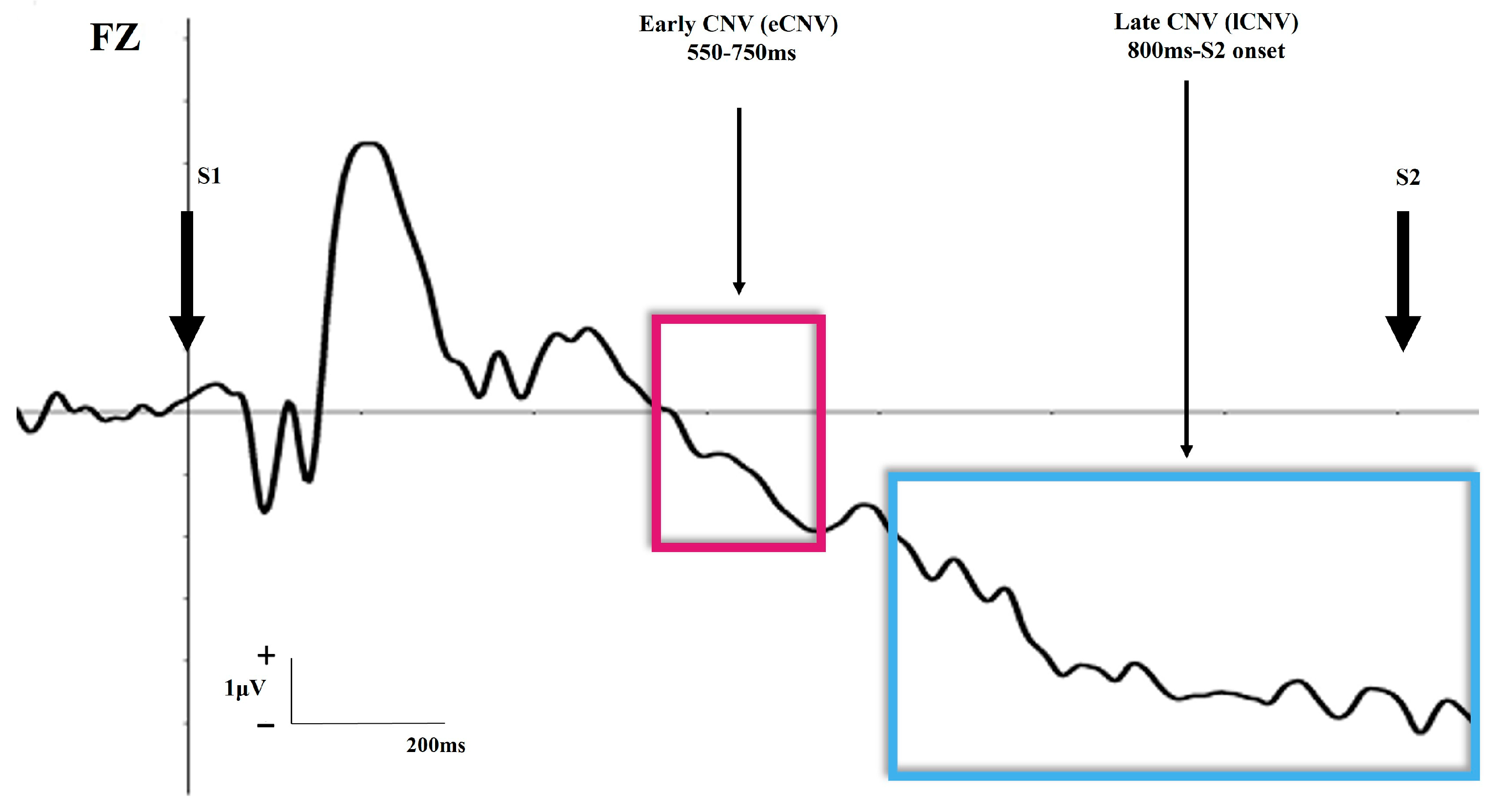 Biomedicines | Free Full-Text | Unveiling the Role of Contingent ...