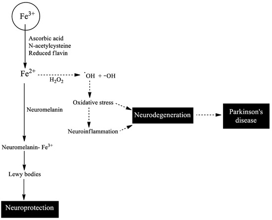 On the Role of Iron in Idiopathic Parkinson’s Disease