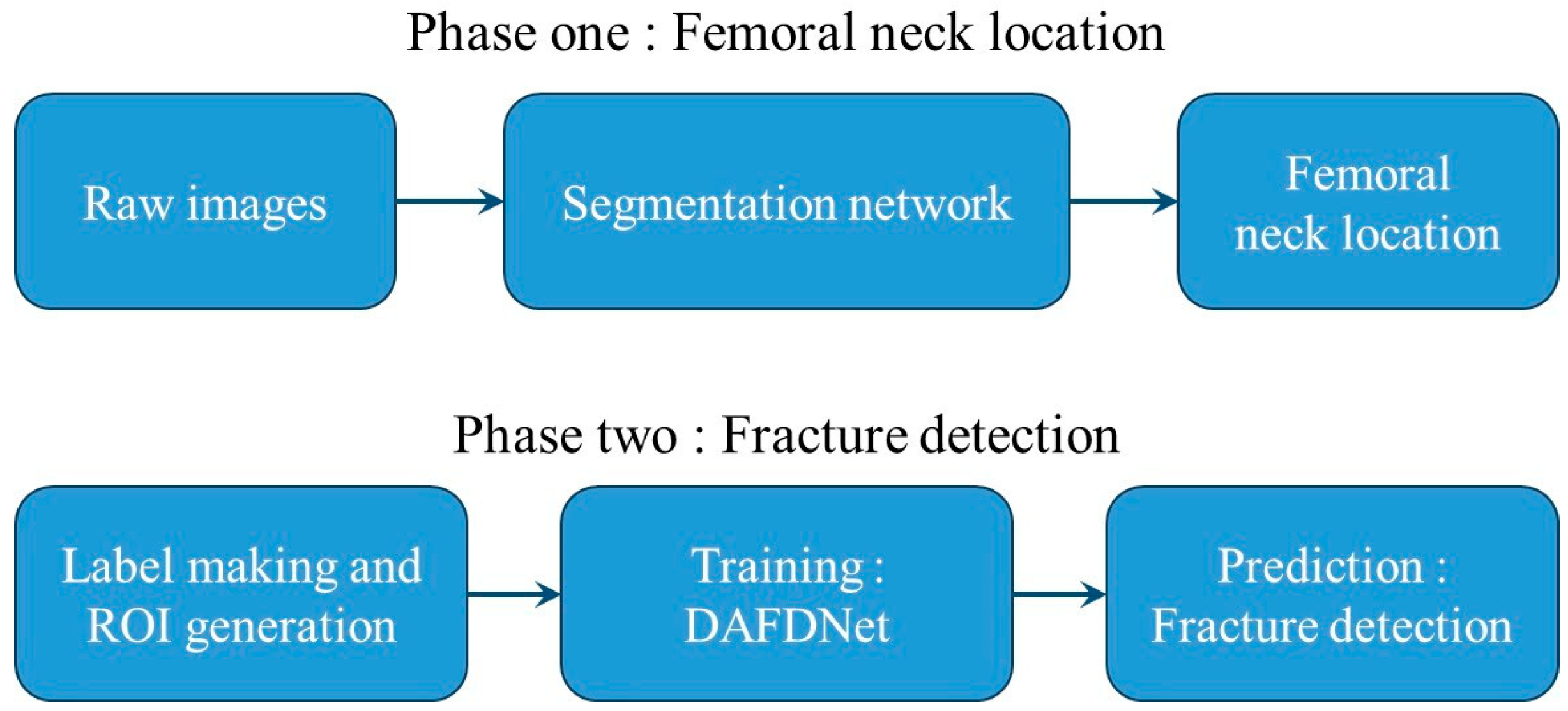 Biomedicines | Free Full-Text | A Computer-Assisted Diagnostic Method for Accurate Detection of ...