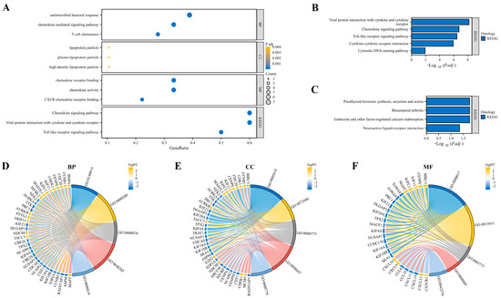 Identification and Preliminary Clinical Validation of Key Extracellular ...