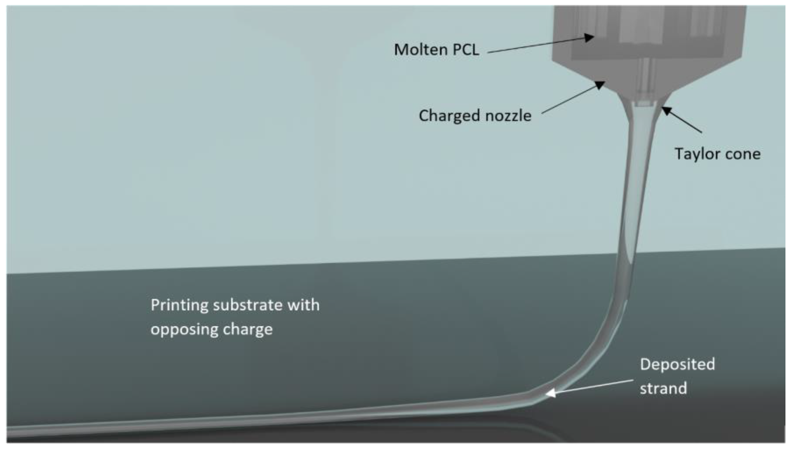 Integrating Fused Deposition Modeling and Melt Electrowriting for ...
