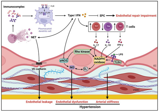 Metabolic Modulators in Cardiovascular Complications of Systemic Lupus ...