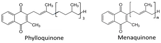 Vitamin K and Calcium Chelation in Vascular Health