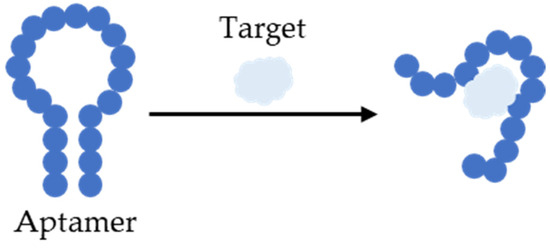 Nucleic Acid Aptamer-Based Biosensors: A Review