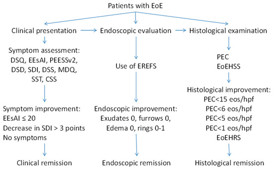 Assessment of the Severity and the Remission Criteria in Eosinophilic ...