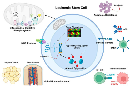 Emerging and Future Targeted Therapies for Pediatric Acute Myeloid ...