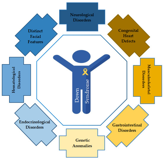 Biomedicines | Free Full-Text | Unraveling Down Syndrome: From Genetic ...