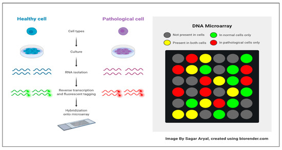 Deep Learning-Based Prediction of Alzheimer’s Disease Using Microarray Gene Expression Data