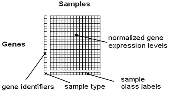 Deep Learning-Based Prediction of Alzheimer’s Disease Using Microarray ...