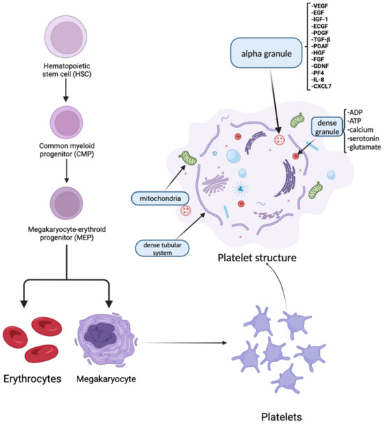 Platelet-Rich Plasma (PRP) in Dermatology: Cellular and Molecular ...