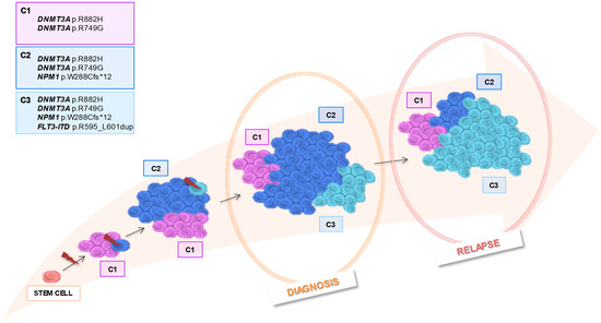Biomedicines | Free Full-Text | Single-Cell DNA Sequencing and ...