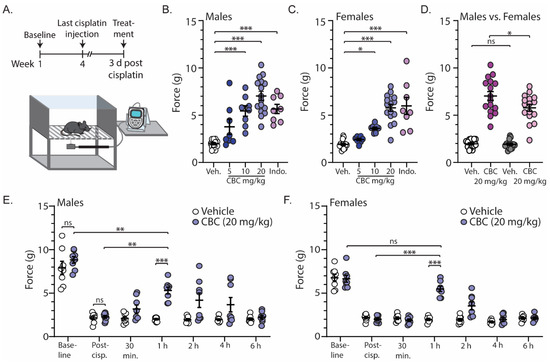 Antinociceptive Effects of Cannabichromene (CBC) in Mice: Insights from ...