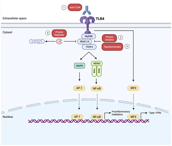 Targeting TLR Signaling Cascades in Systemic Lupus Erythematosus and ...