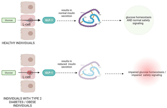 The Role of GLP-1, GIP, MCP-1 and IGFBP-7 Biomarkers in the Development ...