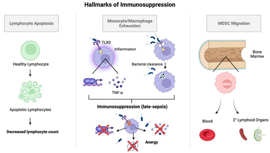 Immunosuppression in Sepsis: Biomarkers and Specialized Pro-Resolving ...