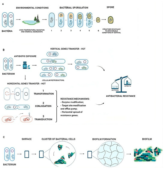 Innovative Biomedical and Technological Strategies for the Control of ...