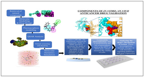 Anticancer Drug Discovery Based on Natural Products: From Computational ...