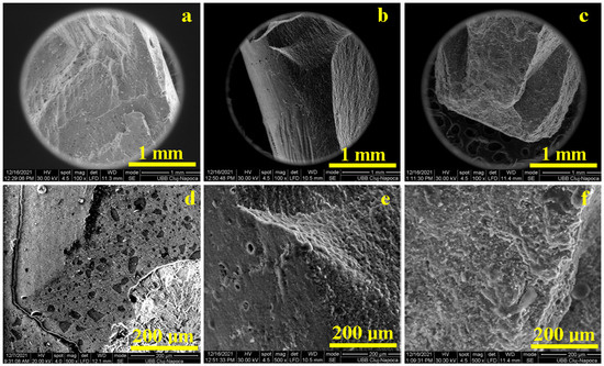 Properties of Nanohybrid Dental Composites—A Comparative In Vitro Study