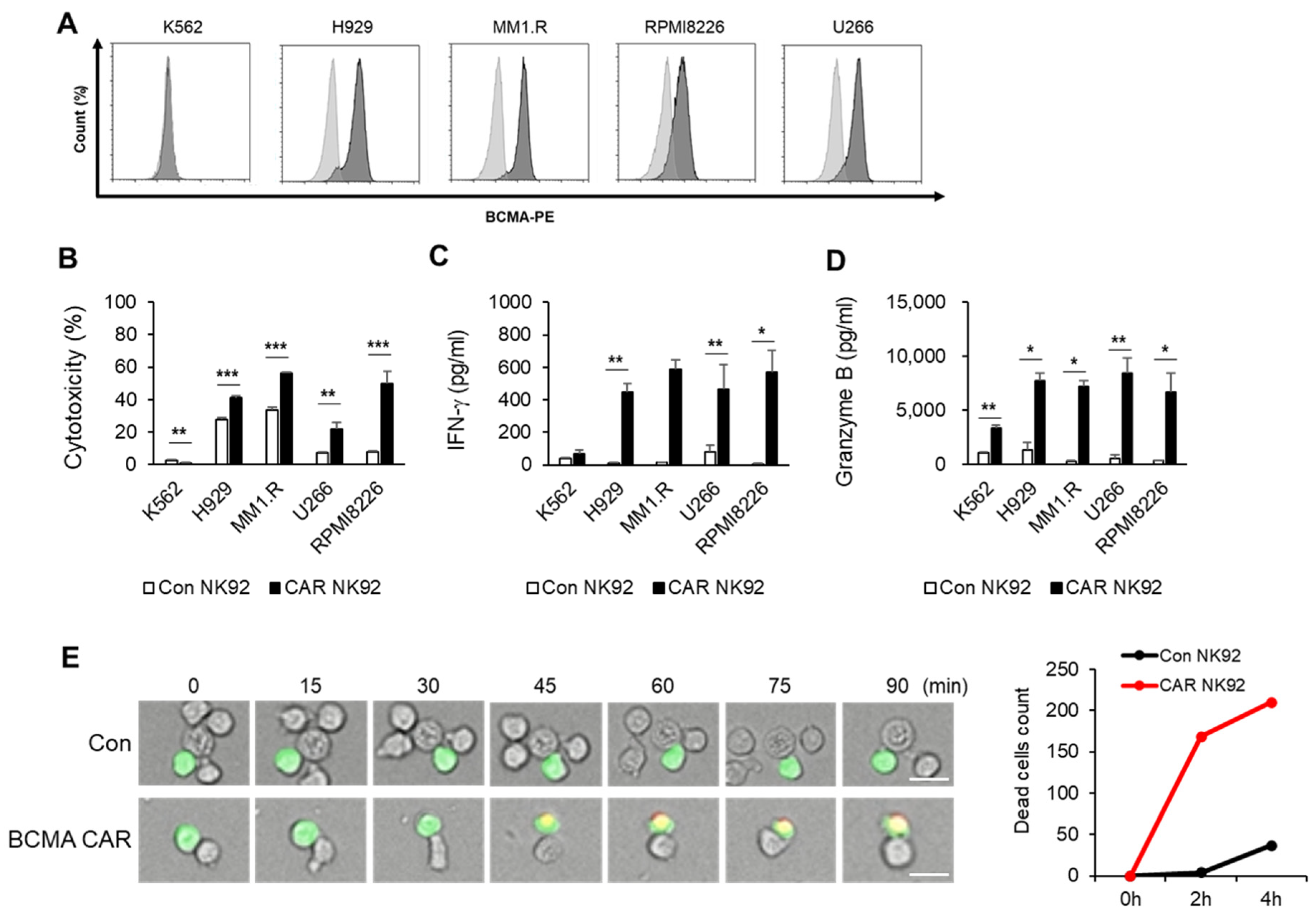 CAR NK92 Cells Targeting BCMA Can Effectively Kill Multiple Myeloma ...